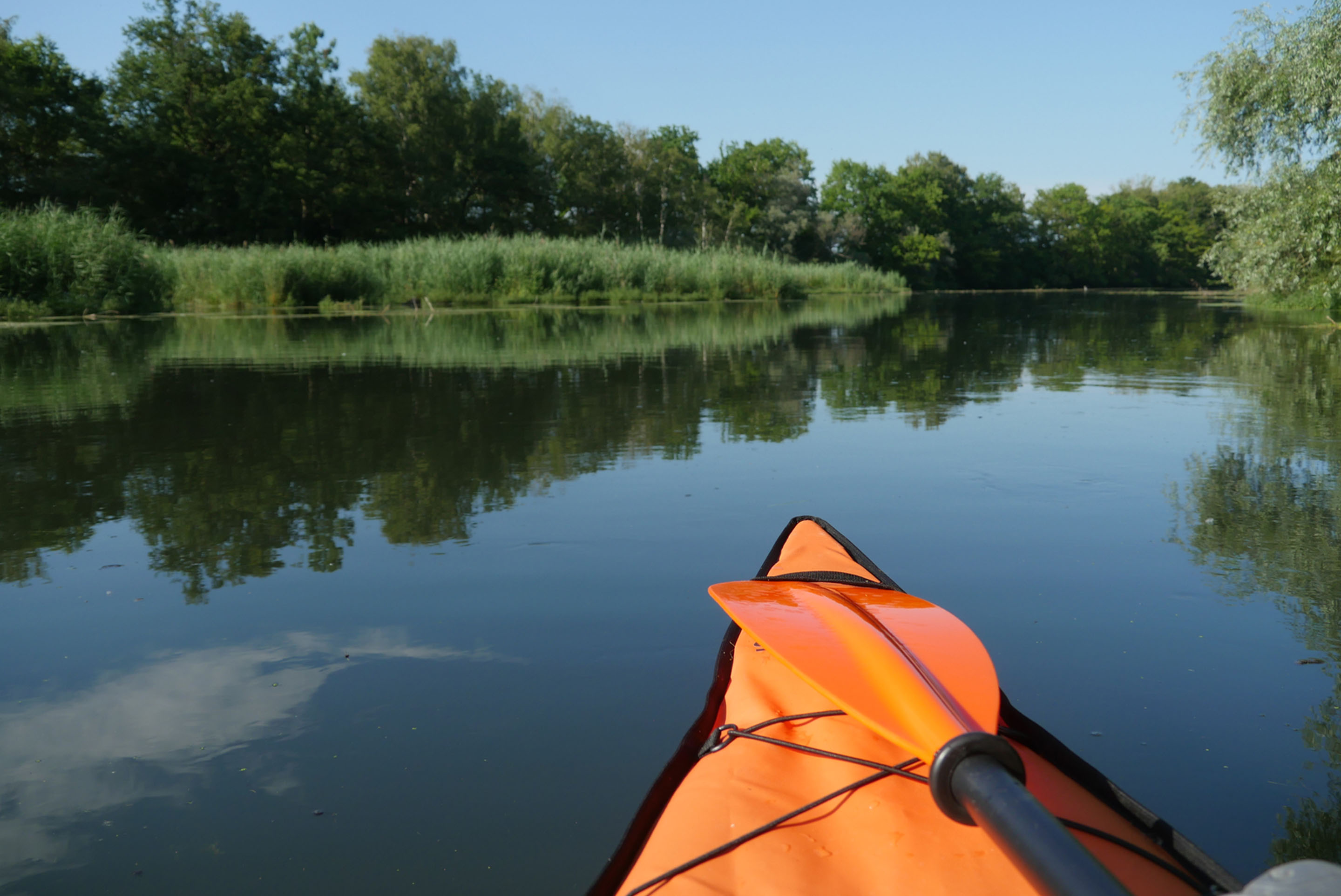 Conseils pour s’initier au kayak récréatif | TOUGO